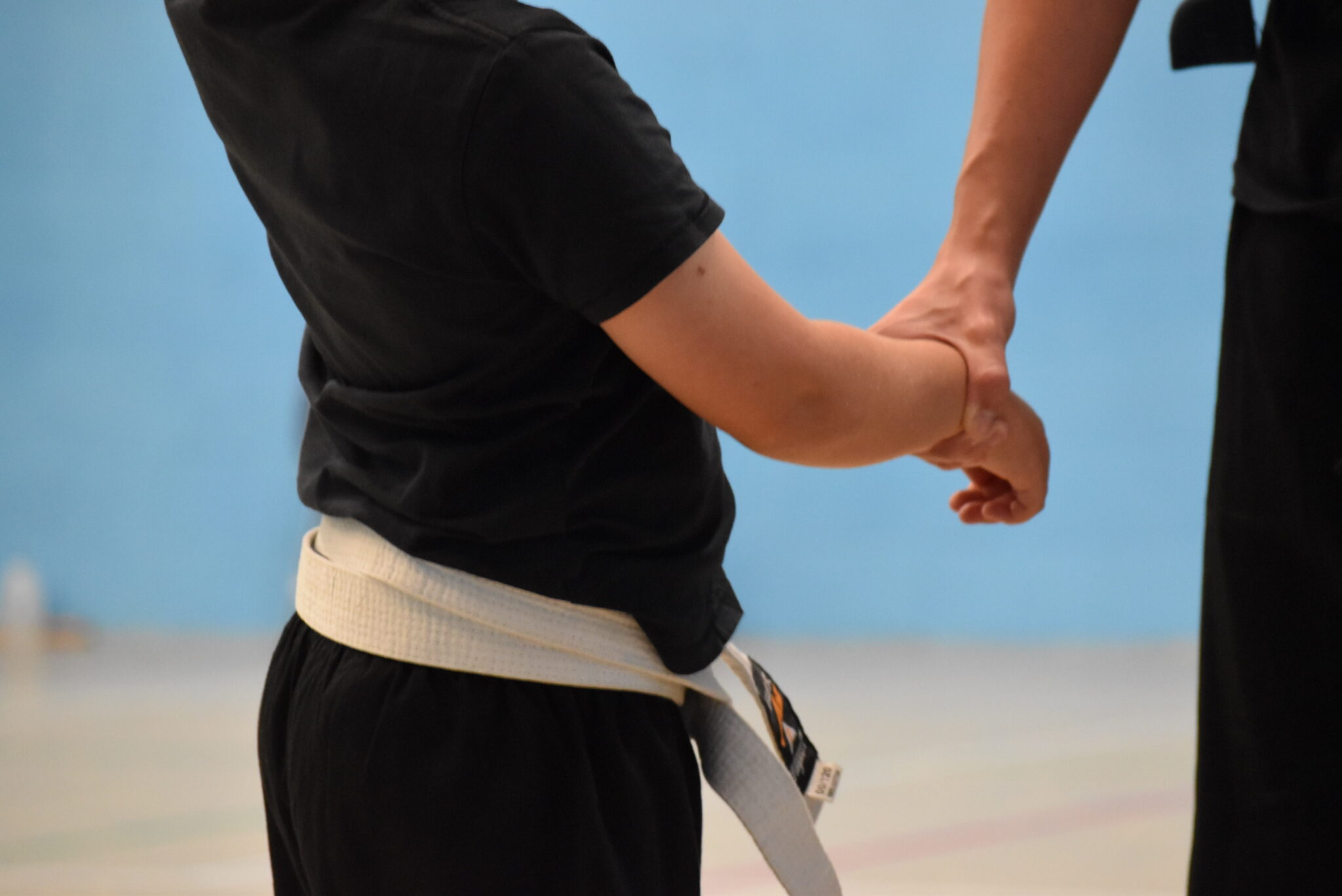 About | Master Kindred Martial Arts